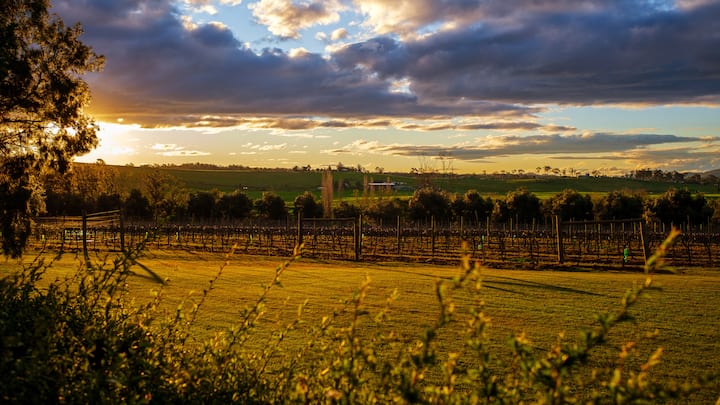 Farmstay At Family-run Vineyard - New South Wales