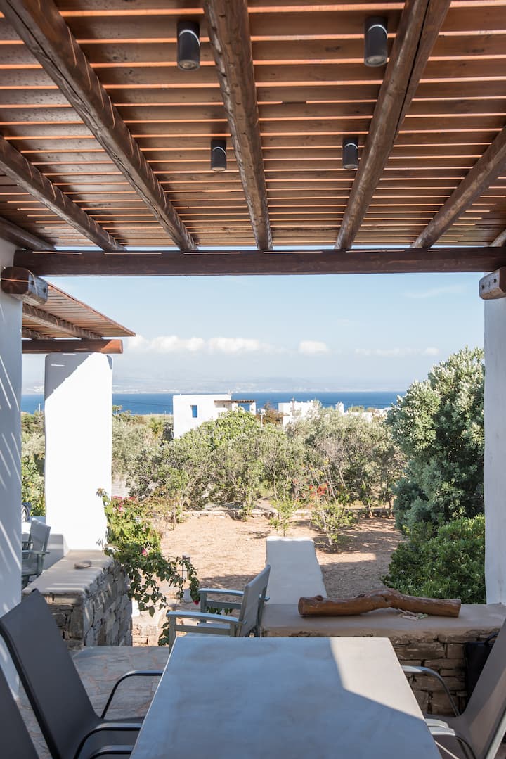 Villa Euterpe Paros - Paros