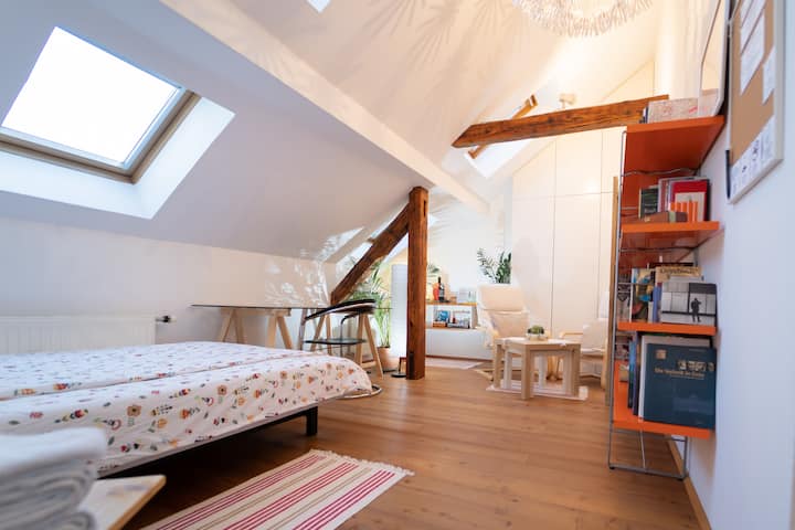 Schönes, Ruhiges Zimmer Nahe Dem Zentrum Von Graz - Graz