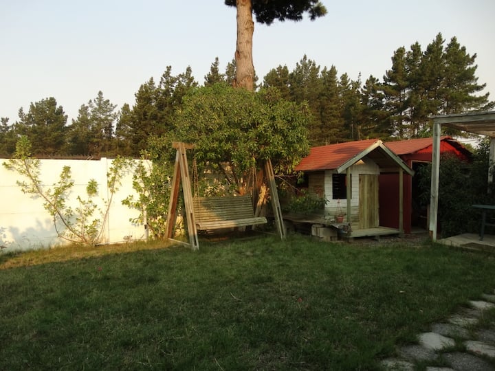 Casa Familiar Algarrobo Bosque Mar Ii - Algarrobo