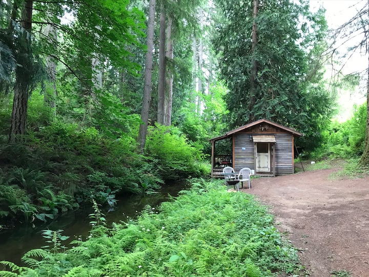 The Shanty On The Bayou At Adams Cove - Washington
