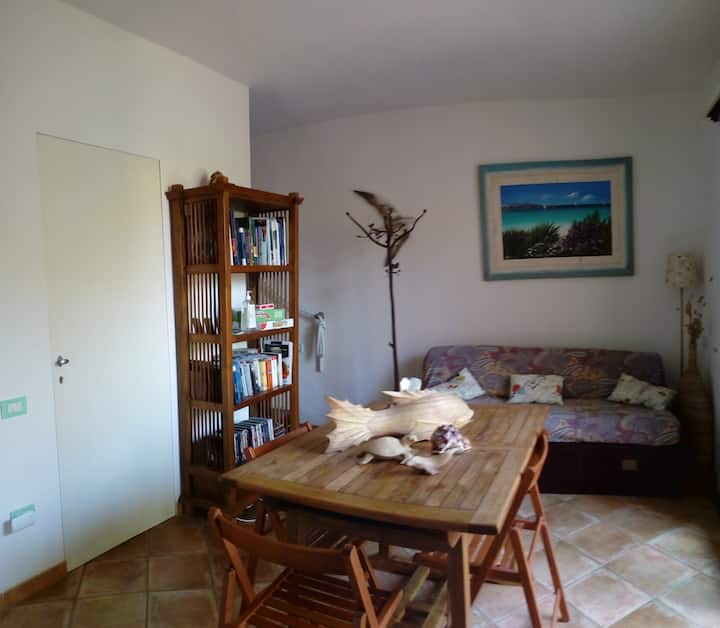 Mrcaruba-b&b-camera  Anemone - Porto Torres