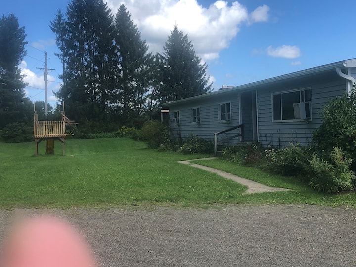 Phoenix Legacy House - Oneonta, NY
