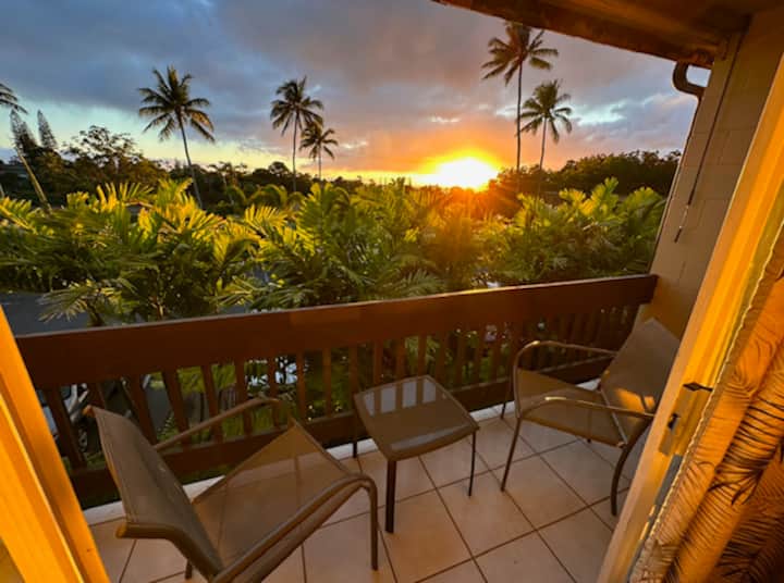 Napili Ridge 1 Bedroom Unit - A/c - Ocean View - Maui, HI
