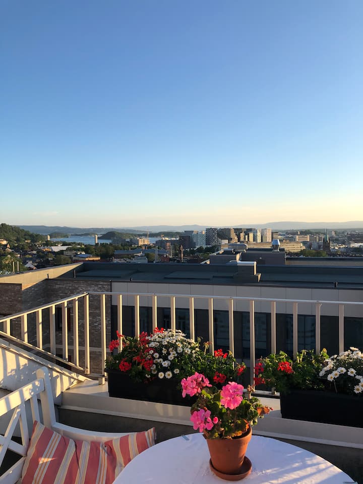 Leilighet Med Panoramautsikt - Sentralt I Oslo - Oslo