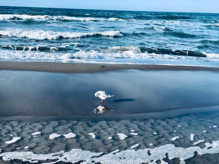 Relaxen, Entspannen, Ostsee Erleben In Warnemünde - Warnemünde