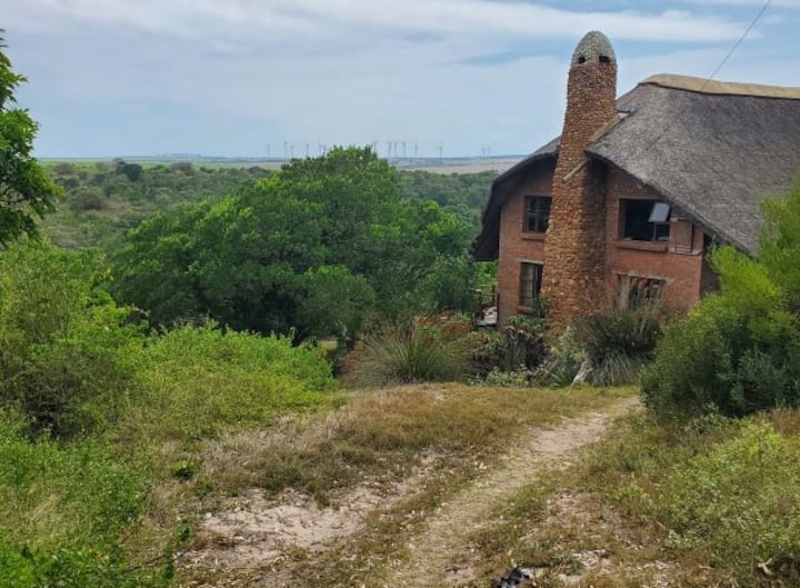 Isolated Nature Retreat For Peace And Tranquility - Oyster Bay