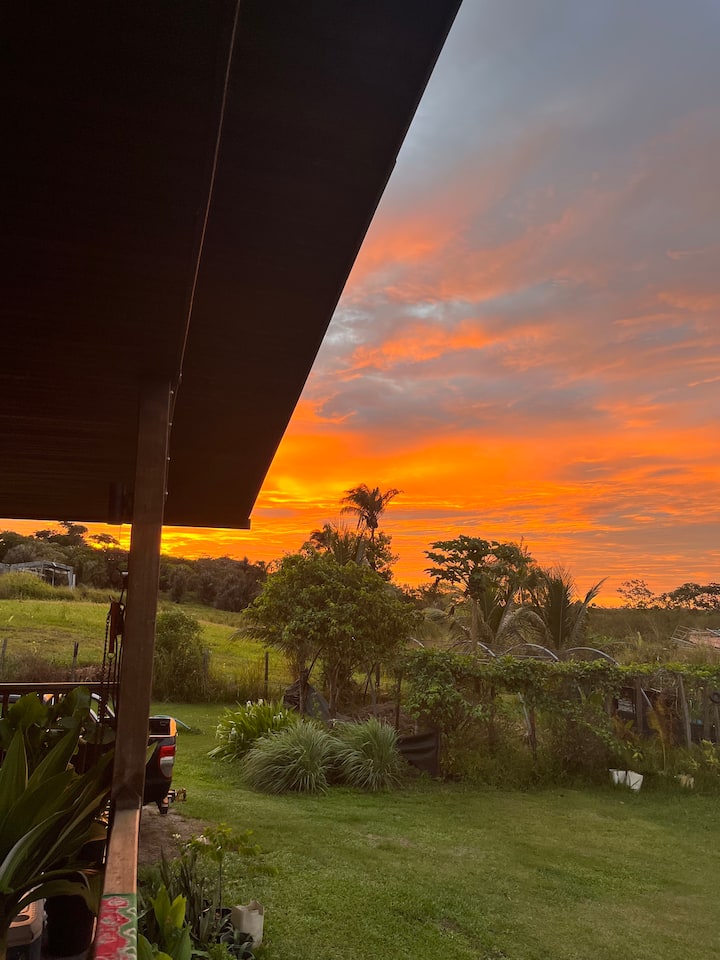 Chambre Wayana - French Guiana