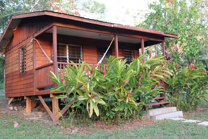 Rainforest Cabin Getaway - Belize