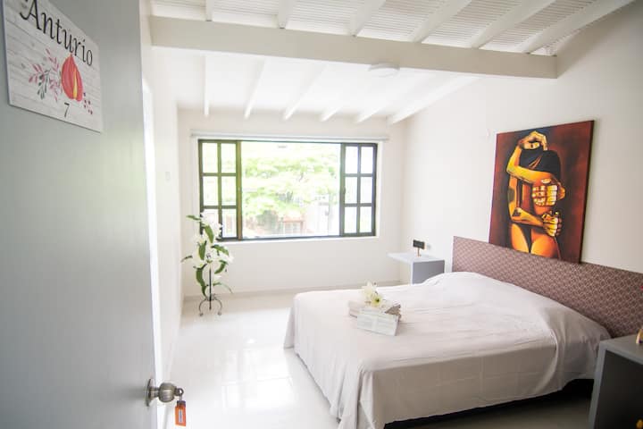 H7|casa Jardín | Habitación Privada | Cerca A Todo - Medellín