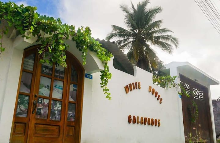 White House G. - Galápagos Islands