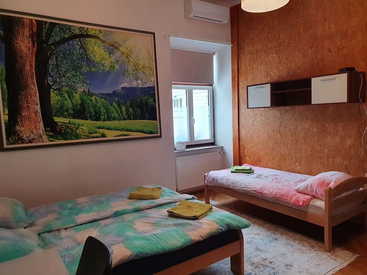 Studio Apartment Ulrik - Laško