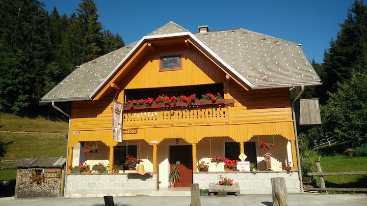 Homestead Zatrnik Near Bled #3 - 斯洛維尼亞