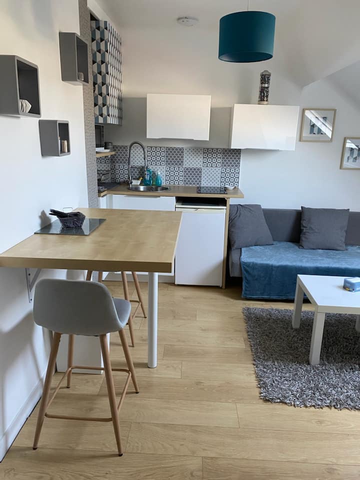 Appartement Centre Ville à Proximité De L'erdre - Nantes