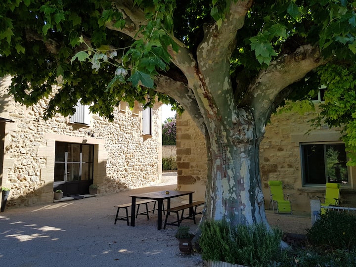 Mas Capacité 16 Personnes - Beaumes-de-Venise