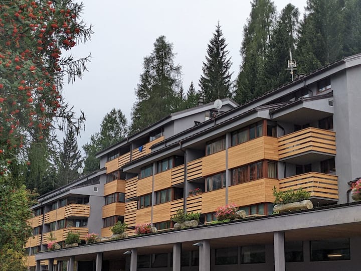 Condominio I Larici Folgarida Belvedere - Trentin-Haut-Adige