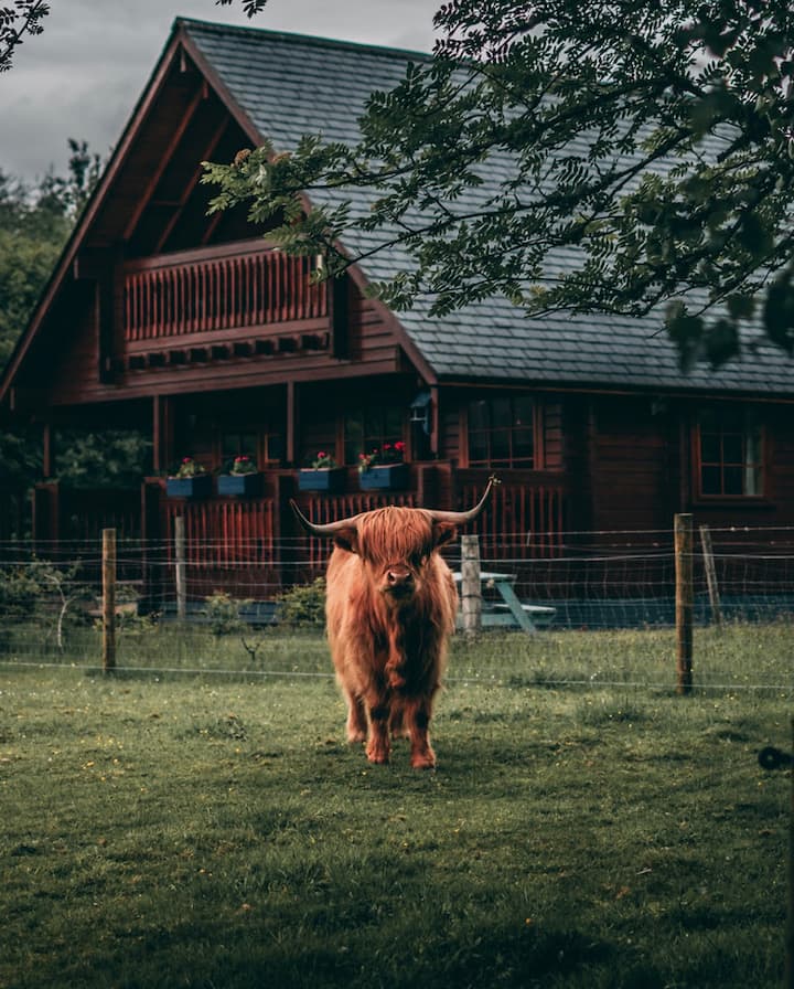 Eagle Lodge At Big Sky - Beauly