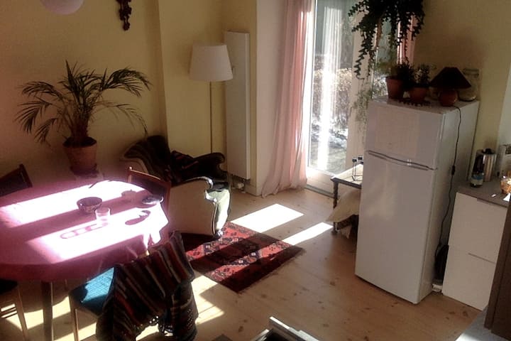 Room For Rent During The Summer - Copenhague