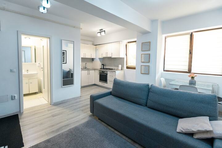 Stylish Apartment Near Palas Mall - Iași