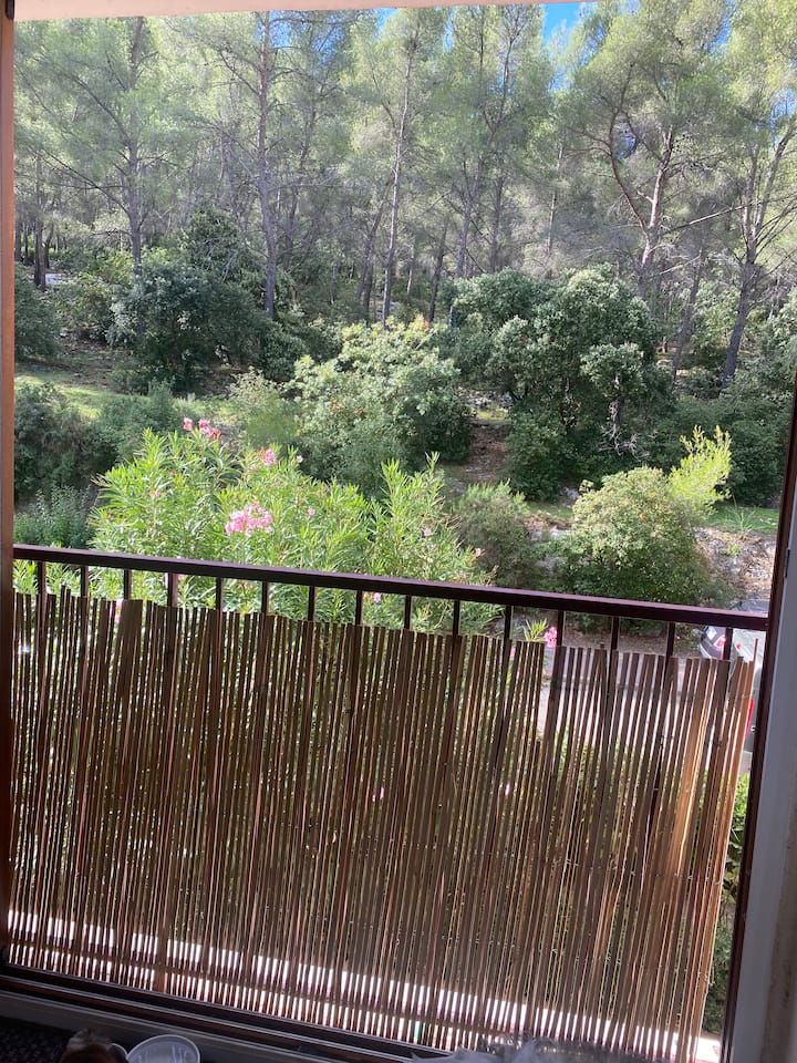 Appartement Dans La Pinède Près De La Ville! - Marsiglia