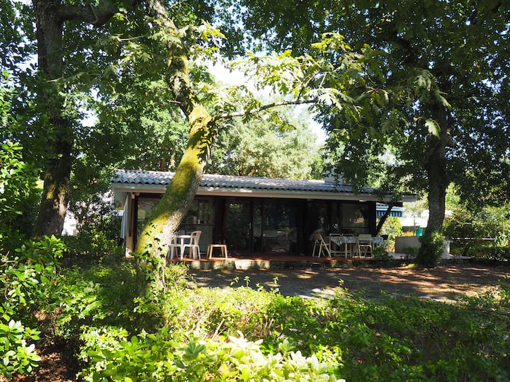 Villa  Girolle Située à 400m De La Plage - Lanton