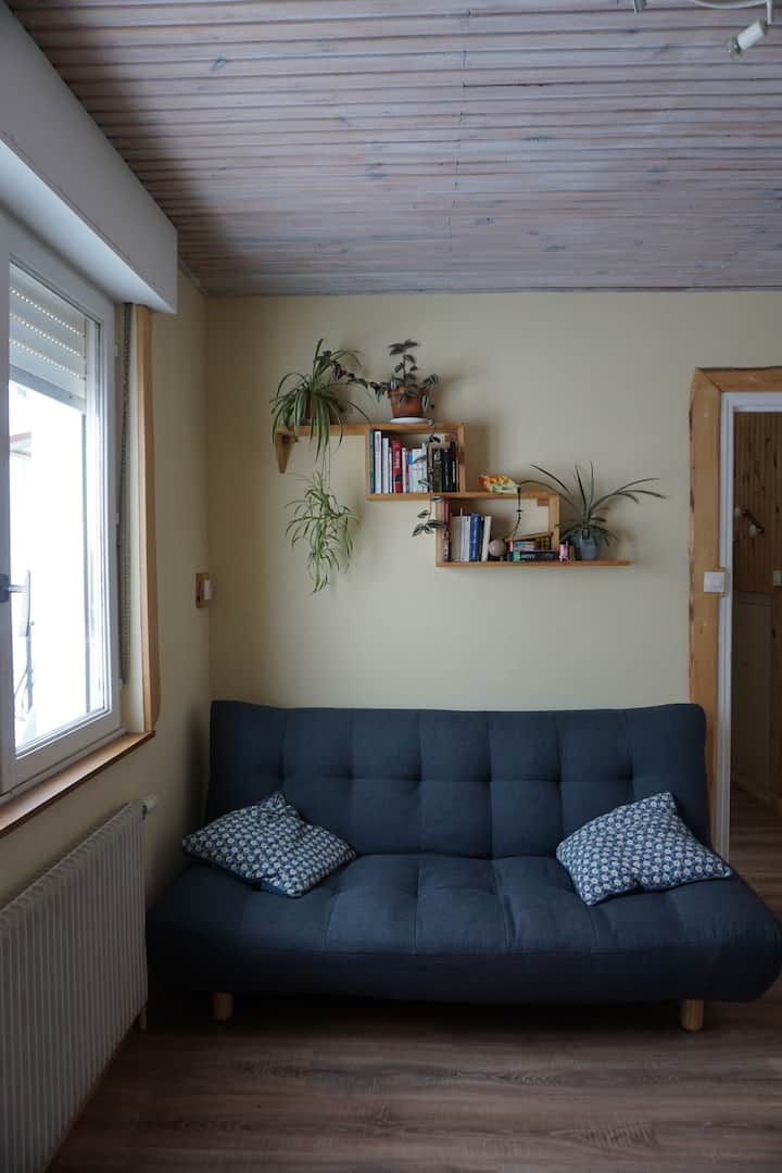 Gîte Du Pré Ferré, La Nature à 2 Pas De Gérardmer - Gérardmer