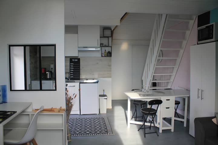 Studio L’îlien - Tréguier Cité De Caractère - Plougrescant