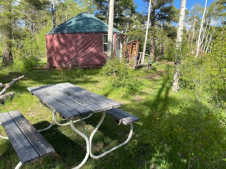 Top 6 Yurts In Red River, New Mexico | Trip101