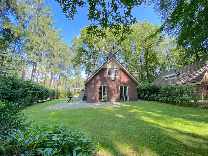 Bungalow 8 Personen Op Een Bosrijk Park (H 8) - Niederlande