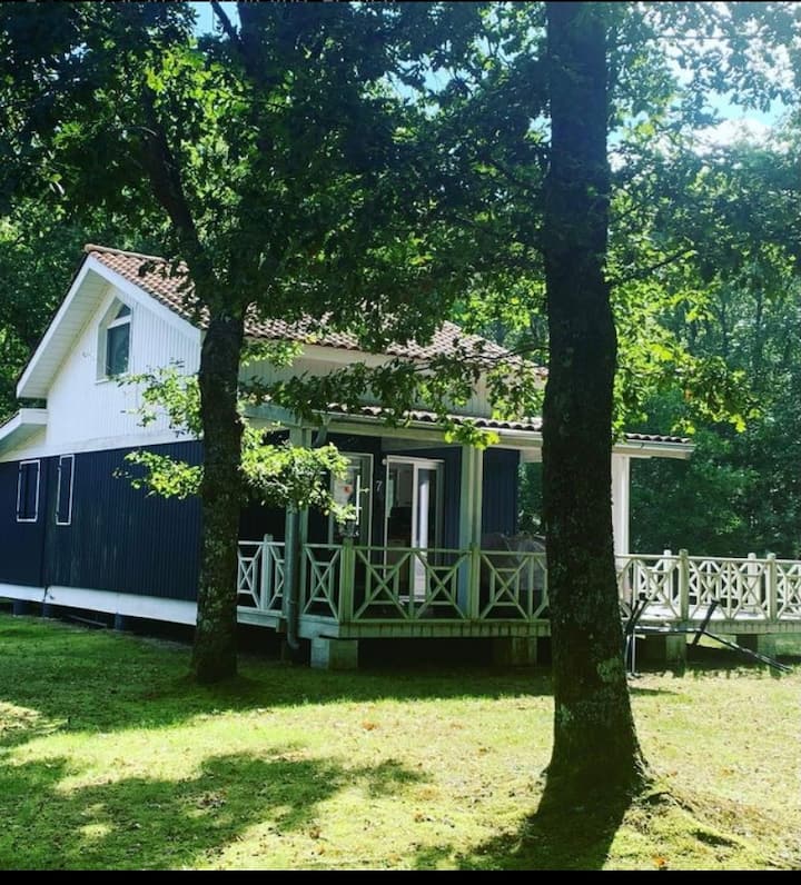 Maison De Famille Au Calme Dans Un Domaine Privé - Carcans