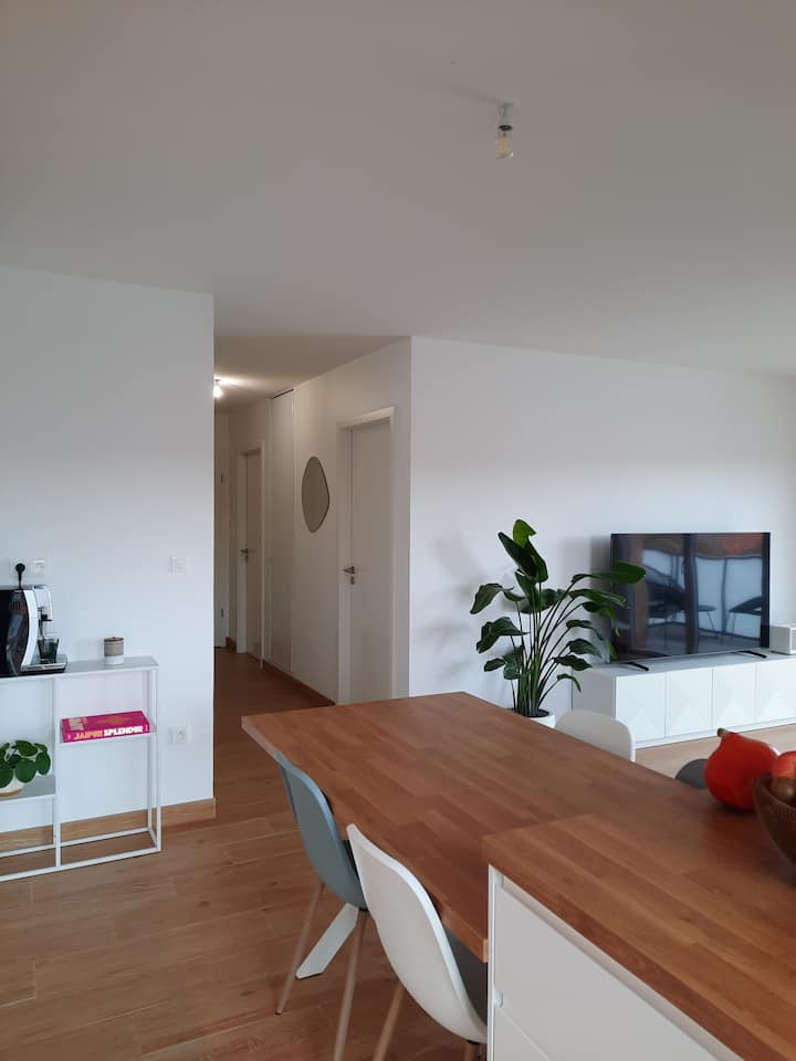 Appartement Neuf Avec Place De Parking Privative - Kehl
