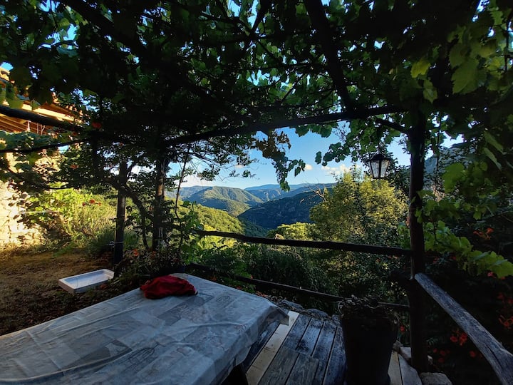 Maison Authentique Cévenole - Villefort