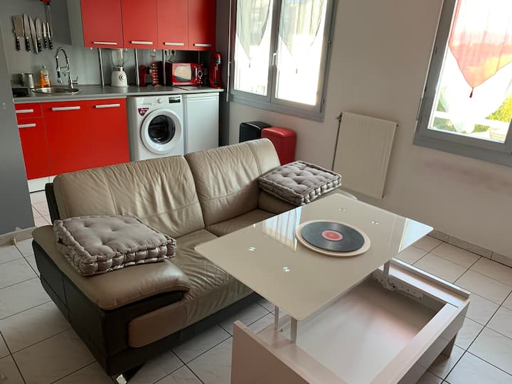 Studio Au Centre D'annecy . - Annecy