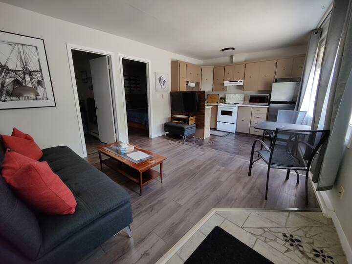 Walk Downtown! Clean Cozy 1 Bedroom + Sofa Bed - Grand Sudbury