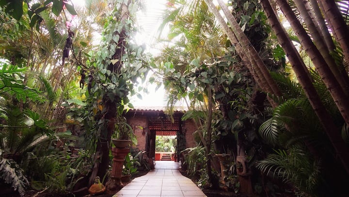 Double Room: Art And Nature In A Beautiful Home - Foz do Iguaçu