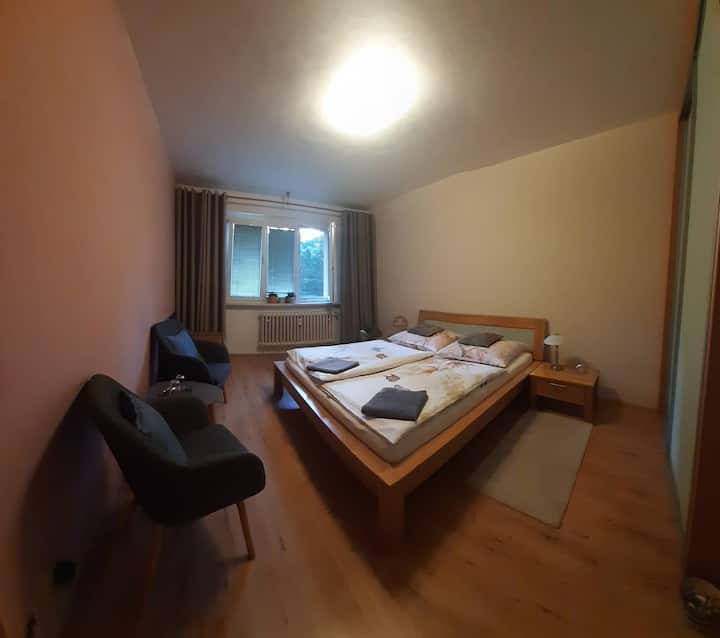 Brno Střed S Výhledem Do Zahrady. - Brno