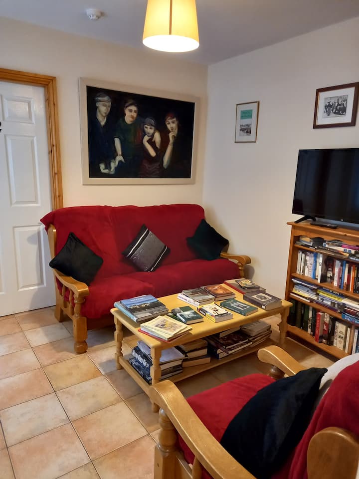 Paddy Ensuite Single Room In The Heart Of Galway 1 - Galway