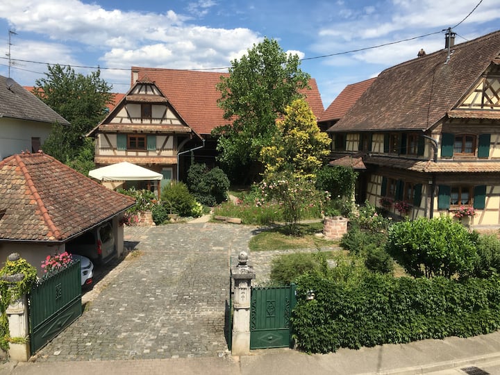 Au Tulipier Du Ried - Hindisheim