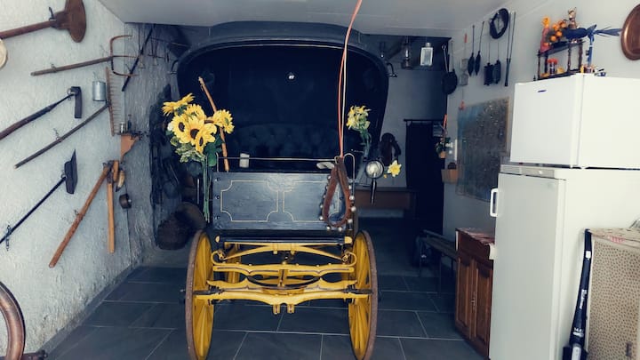 Gîte De 3 Chambres à 800 M D'altitude (Jura) - Nantua
