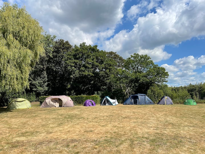 The Real Magnificent Green Campsite @Tomorrowland - Rumst