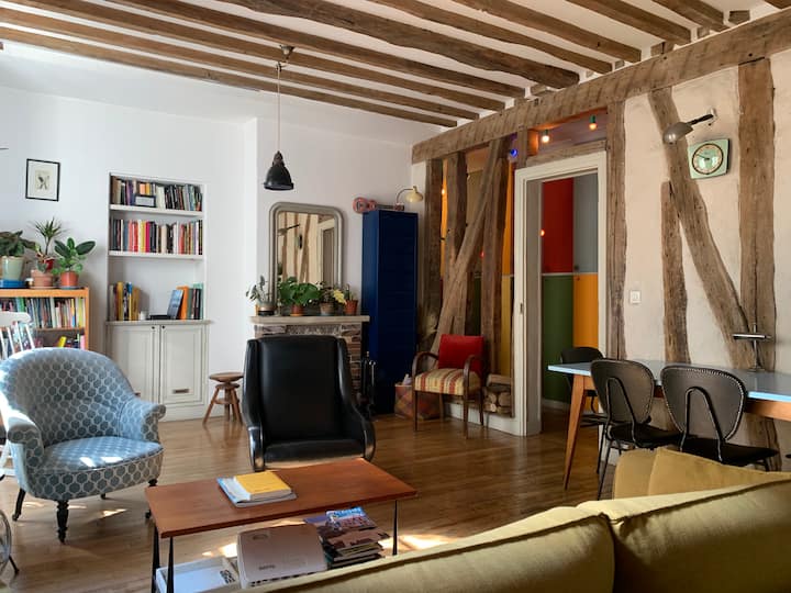 Appartement D'artiste Paris - Rue de Rivoli