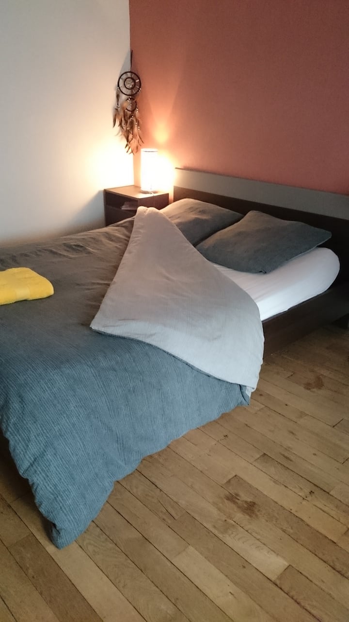 Grande Chambre Au Calme - Nancy