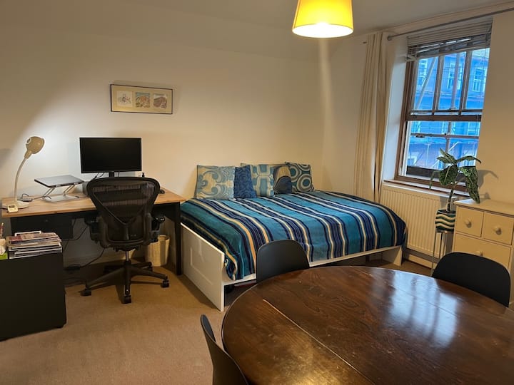 Cosy Flat In London (Islington, Zone 2) - Londra