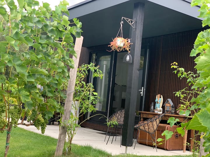 Lcbt- Unique Stay In Our Vineyard (A'dam Area) - Zeewolde
