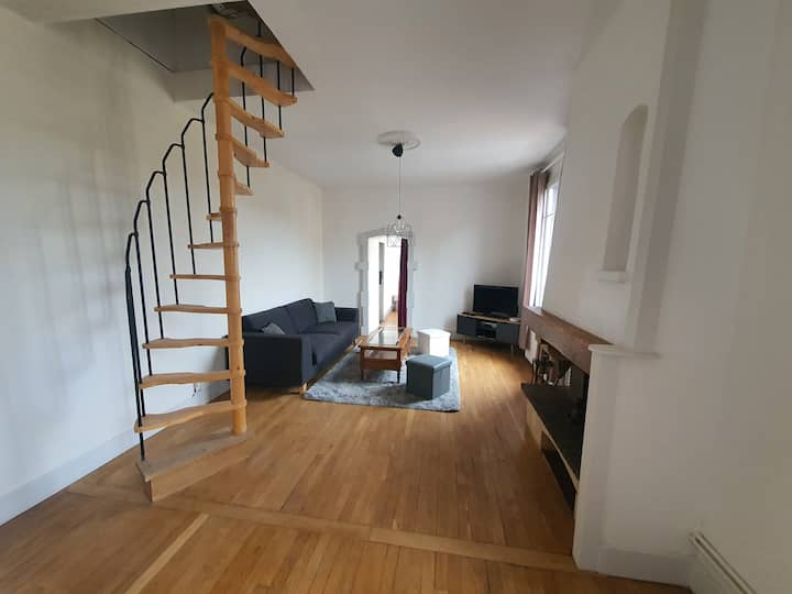 Grand Appartement Au 1er éTage Avec Terrasse Rdc - Dijon