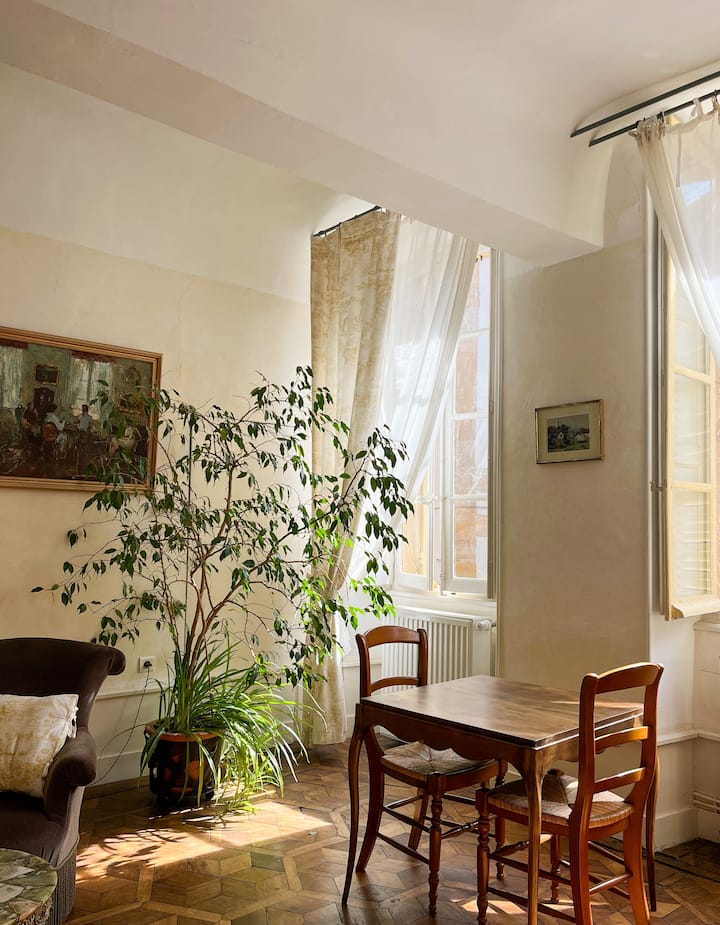 Jolie Chambre De Charme Dans Une Demeure Xve N°2 - Autun