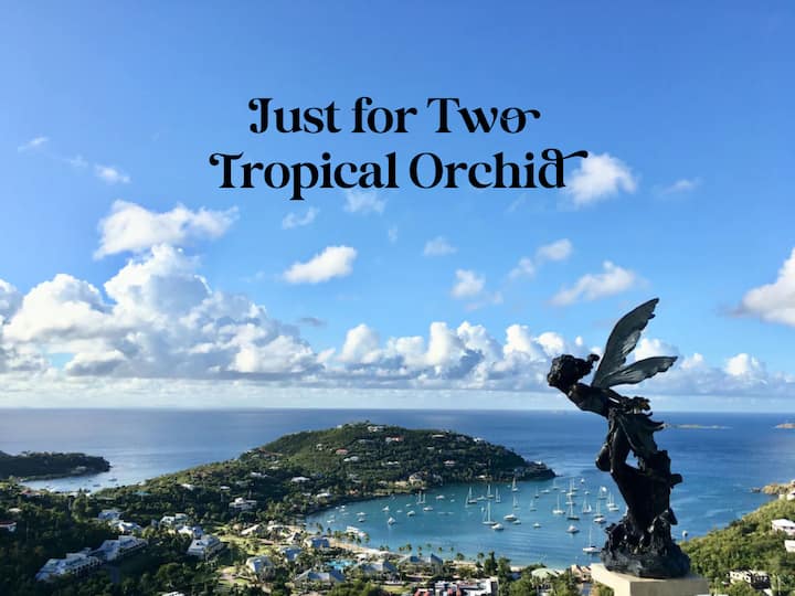 Just For 2 - Tropical Orchid - Sale- Book Now - Cruz Bay