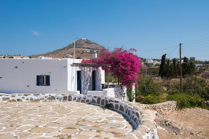 Laou Paros Traditional Country House - Paros