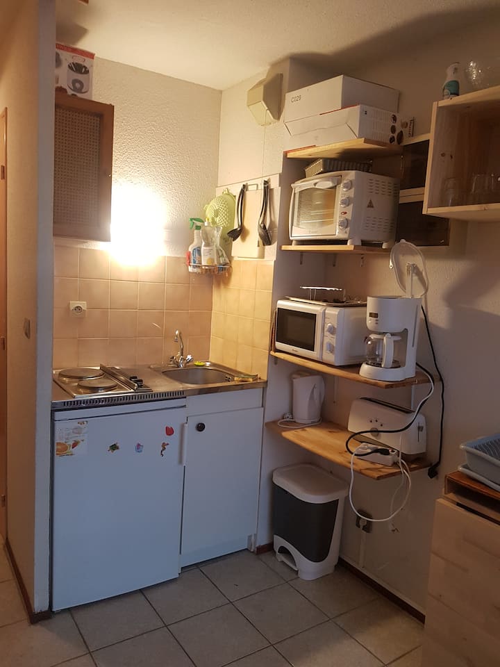 Studio Des Montagnes - Hirmentaz