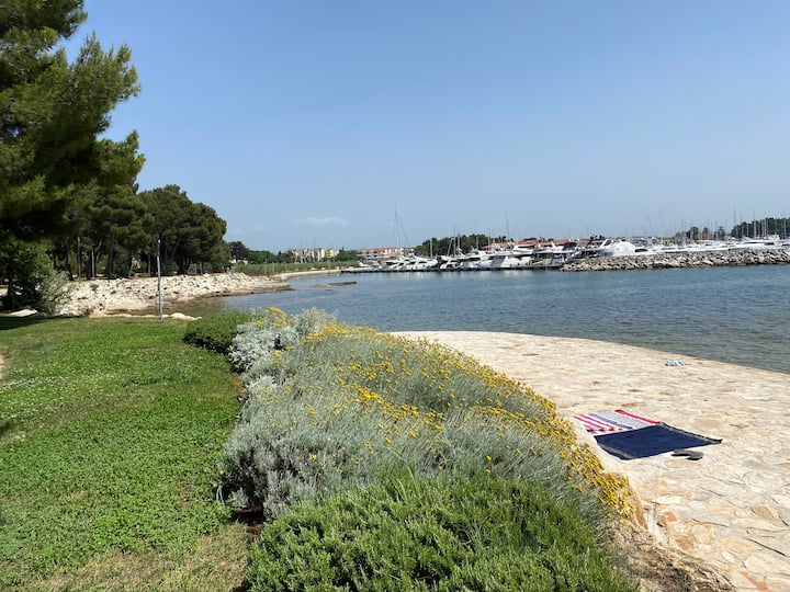 Apartman Novigrad (36b) - Novigrad